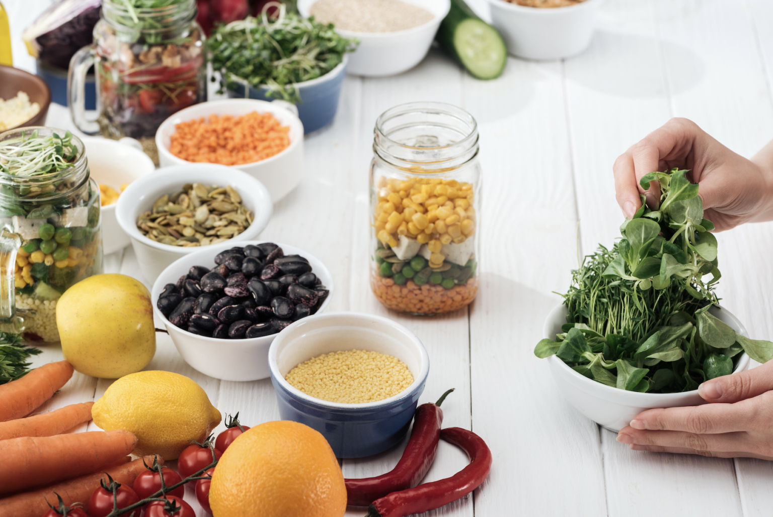 Home [formavital.com]